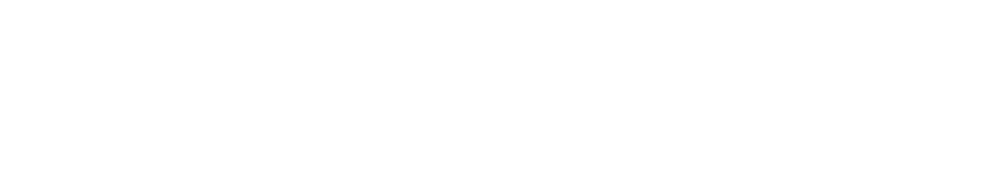 Wellfleet – Protecting People Against Risk Throughout Every Stage of Life