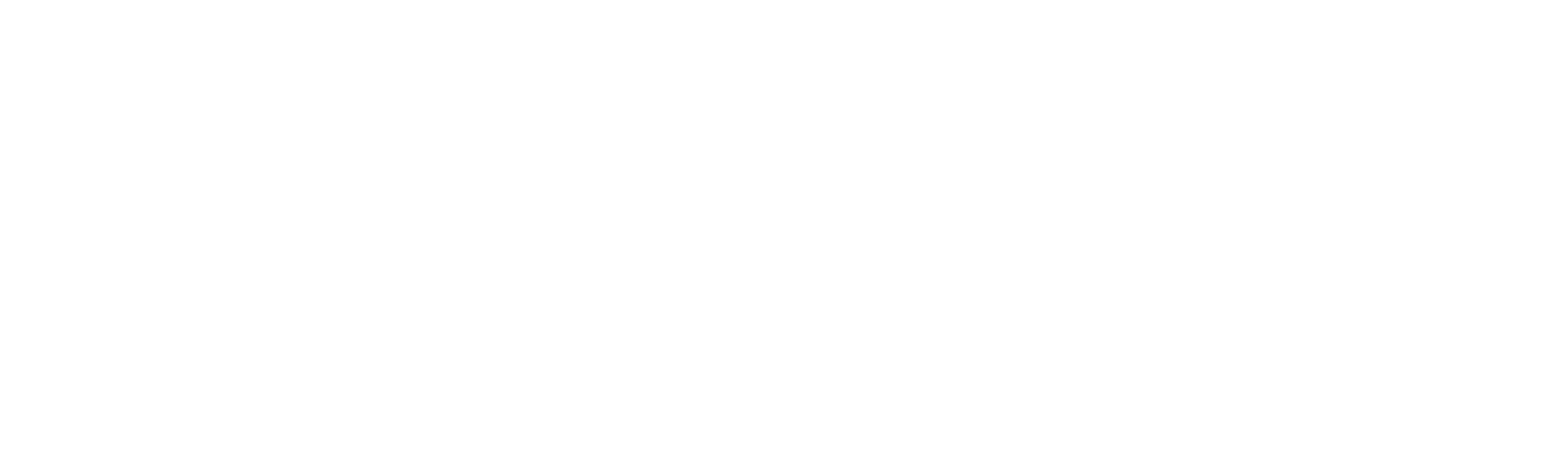 Wellfleet – Protecting People Against Risk Throughout Every Stage of Life