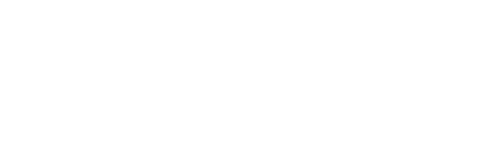 Wellfleet – Protecting People Against Risk Throughout Every Stage of Life