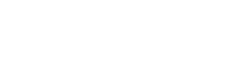 Wellfleet – Protecting People Against Risk Throughout Every Stage of Life